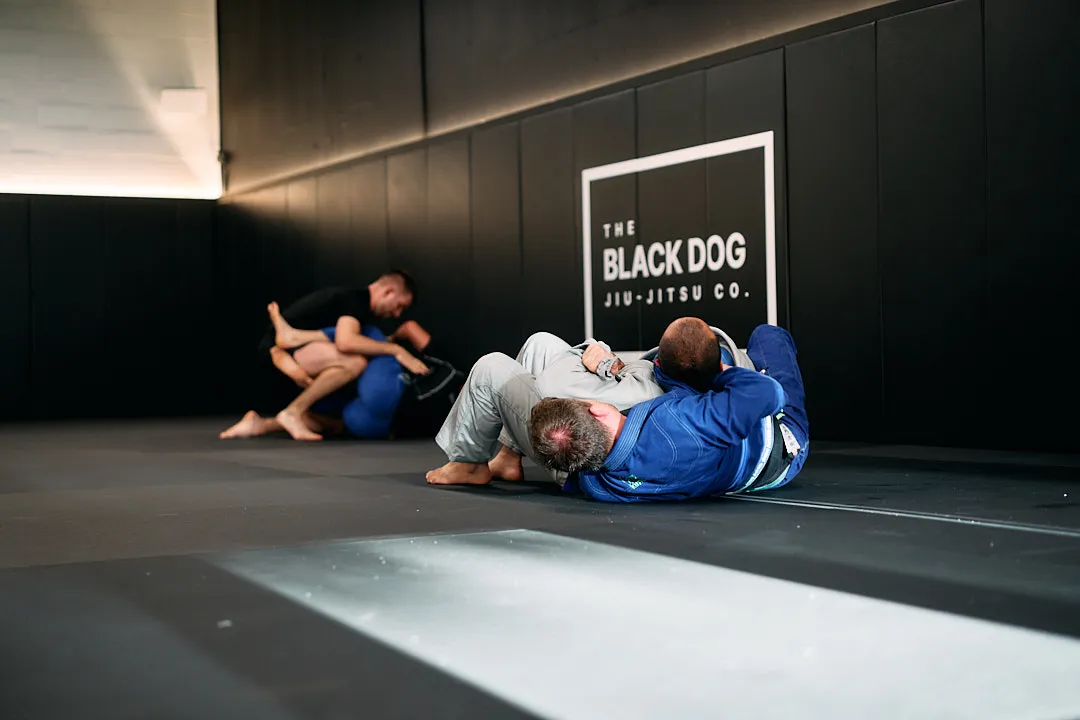 Brazilian Jiu-Jitsu - Lake Oswego, Oregon - The Black Dog Jiu-Jitsu Company