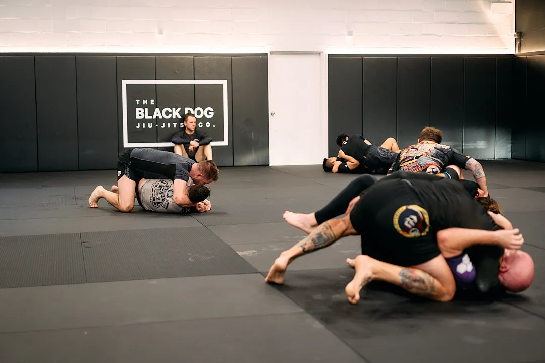 Brazilian Jiu-Jitsu - Lake Oswego, Oregon - The Black Dog Jiu-Jitsu Company